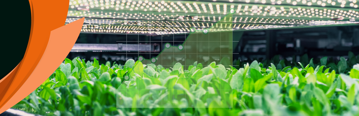 Cropster Agro Q1 FY26 Results: Latest Cropster Agro Quarterly Results ...